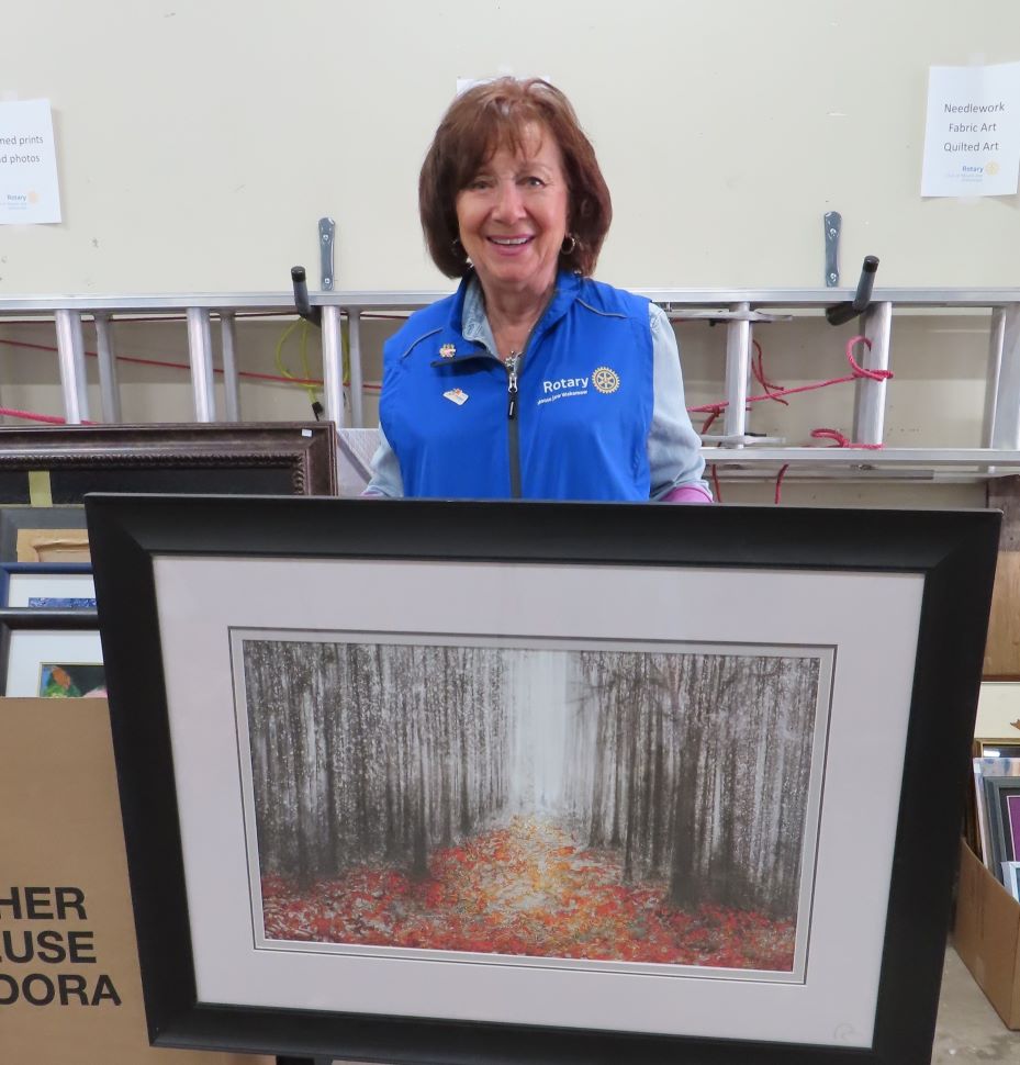 Rotary Club art sale offers 500+ eclectic wall art pieces at affordable ...
