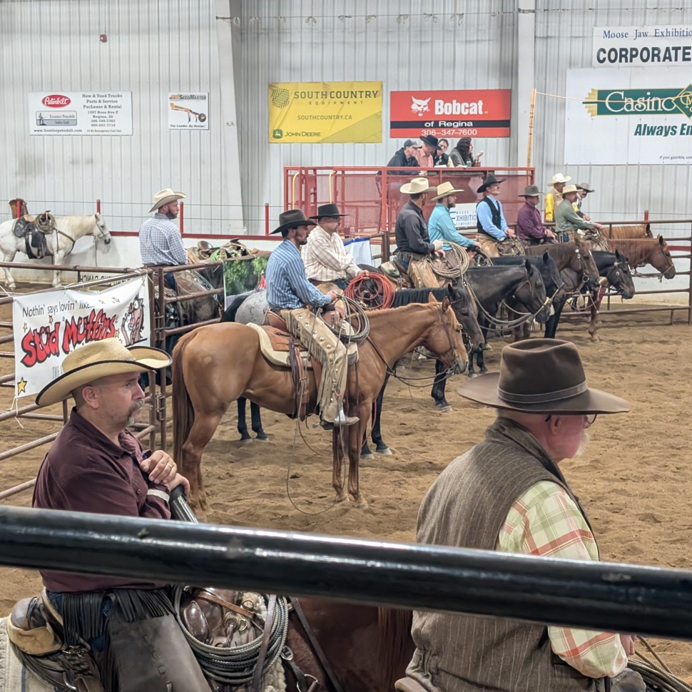 Ranch roping nationals showcase traditional cowboy skills in quiet ...