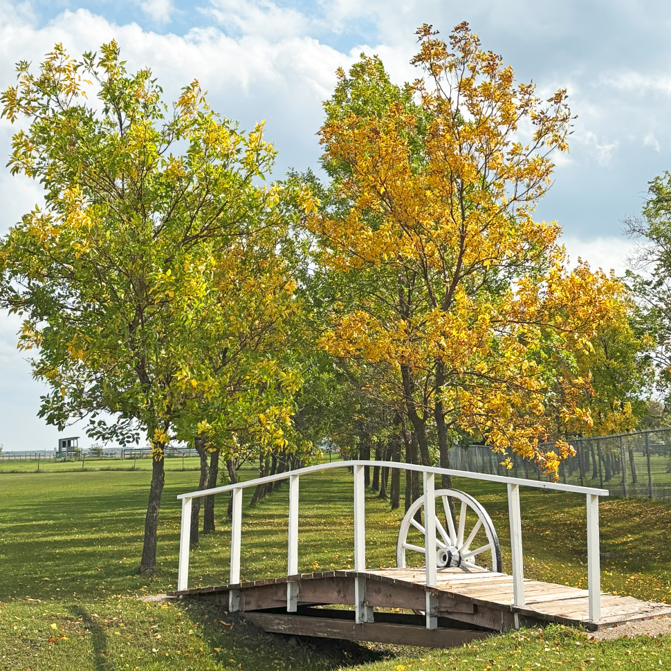 Signs of fall emerge across the tall grass prairie - SteinbachOnline ...