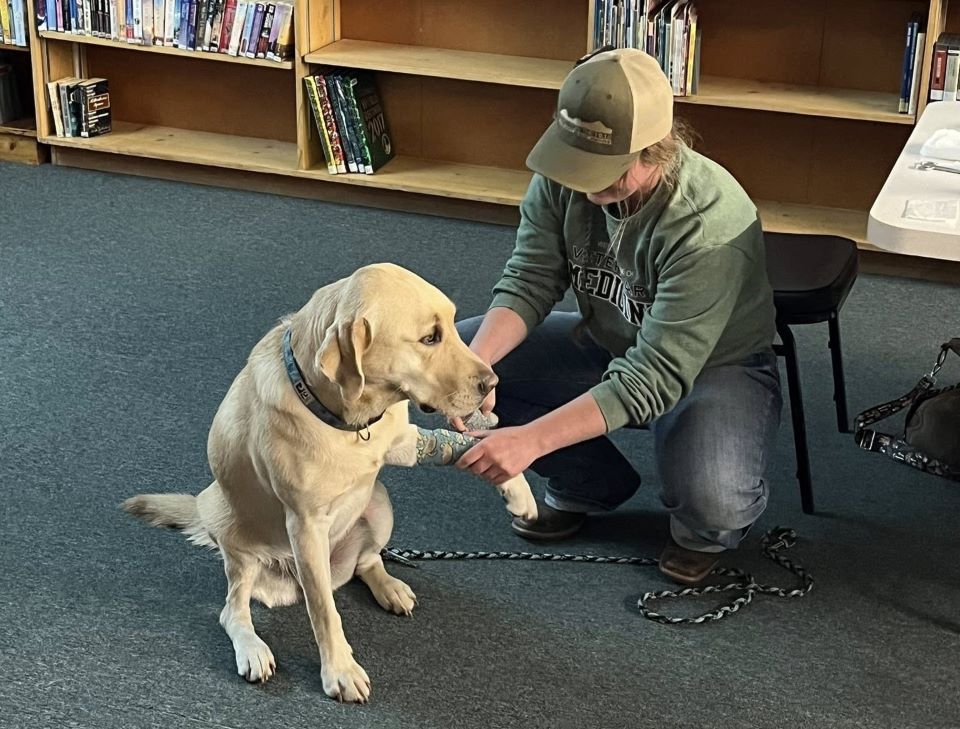 Redvers Library hosts creative programs from Dog First Aid to “Bling ...
