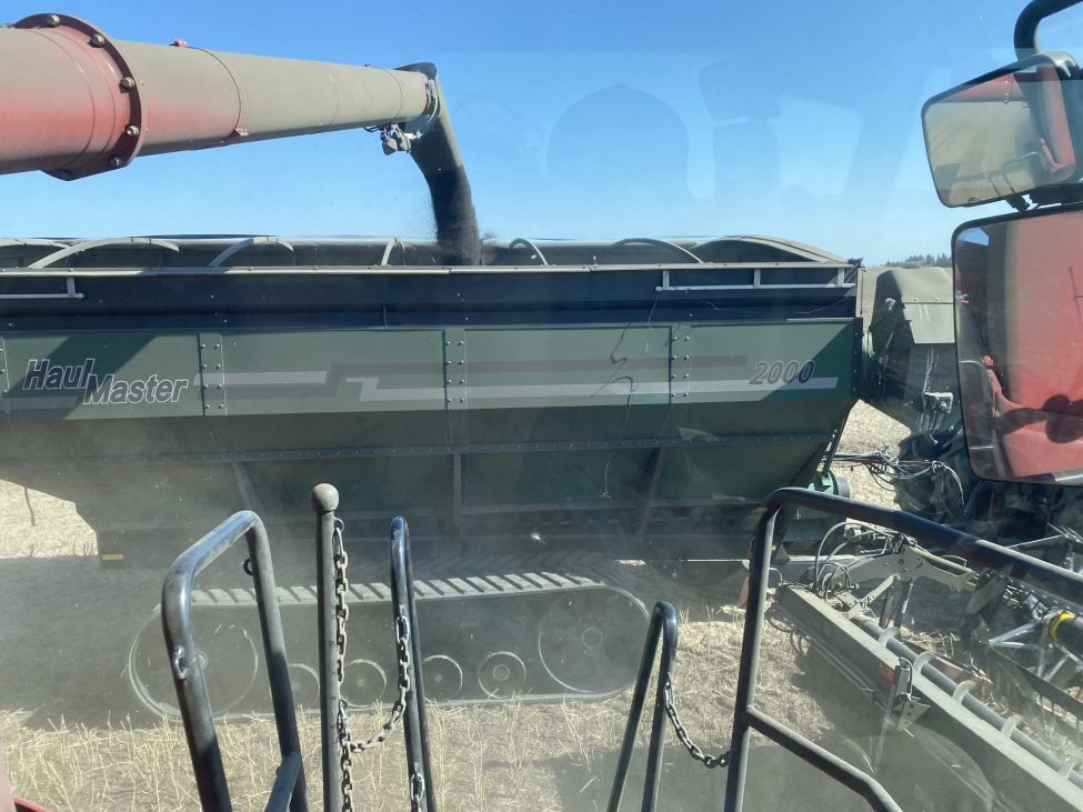 Couldn't ask for a better harvest day! - DiscoverWestman.com - Local ...