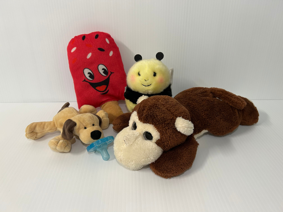Help reunite lost stuffed animals and other items from annual Teddy ...