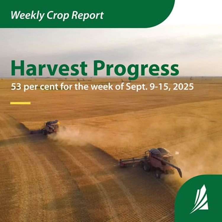Crop report says progress advances in the northeast in the face of ...