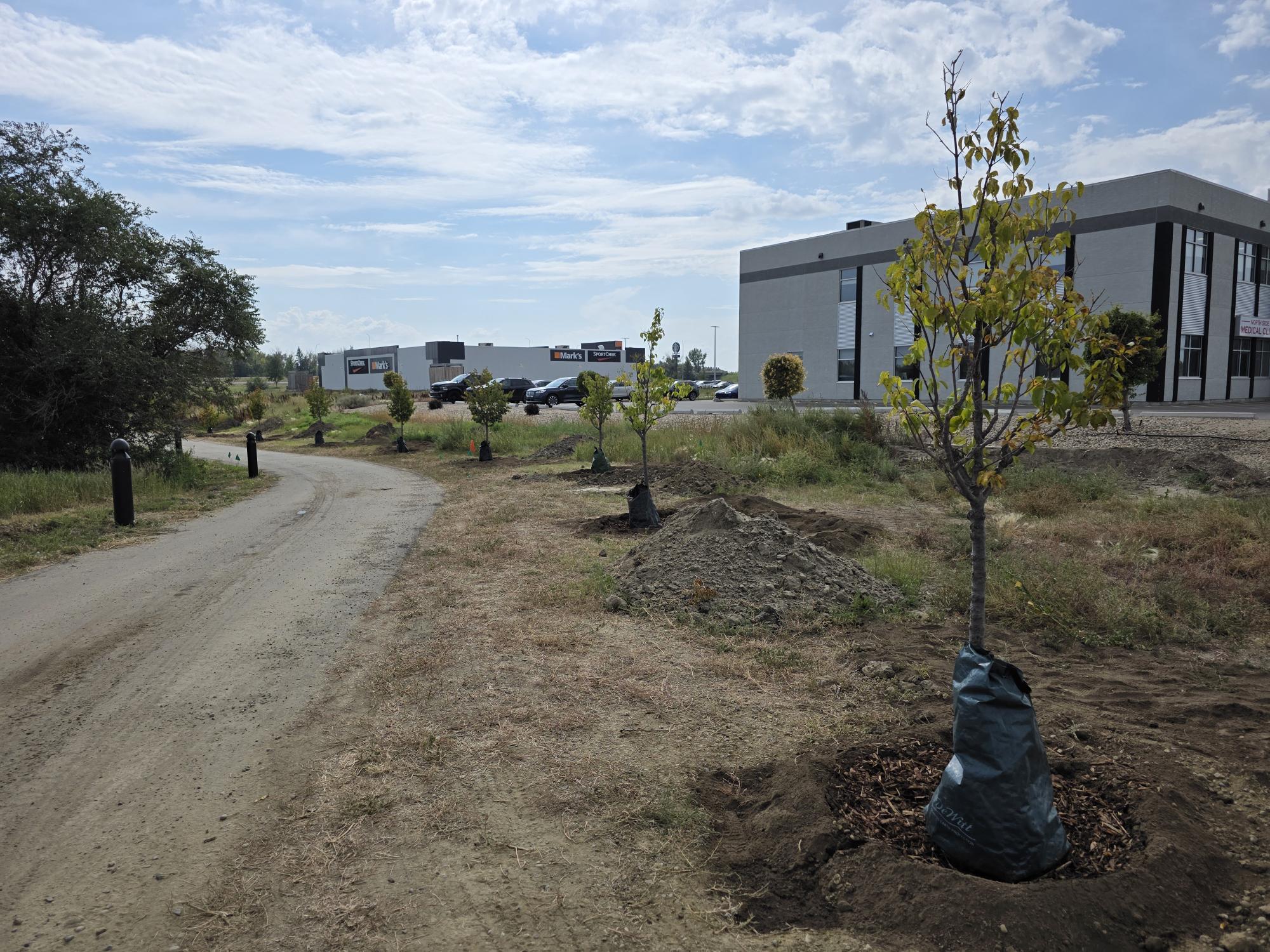 Go Green spouts new efforts in Swift Current parks and pathways ...