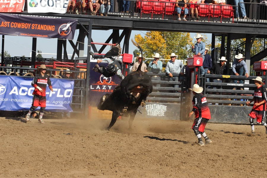 Hundreds attend Last Cowboy Standing at Strathmore Ag Grounds ...