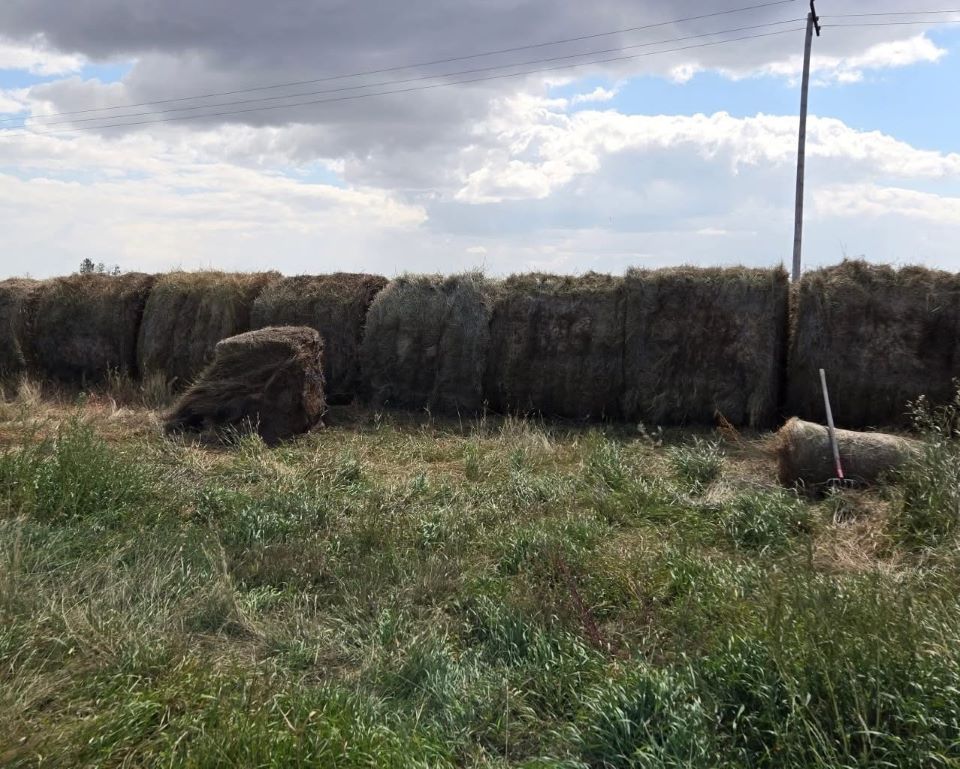 Happy Little Hooves reflects on summer fundraising and looks ahead to ...