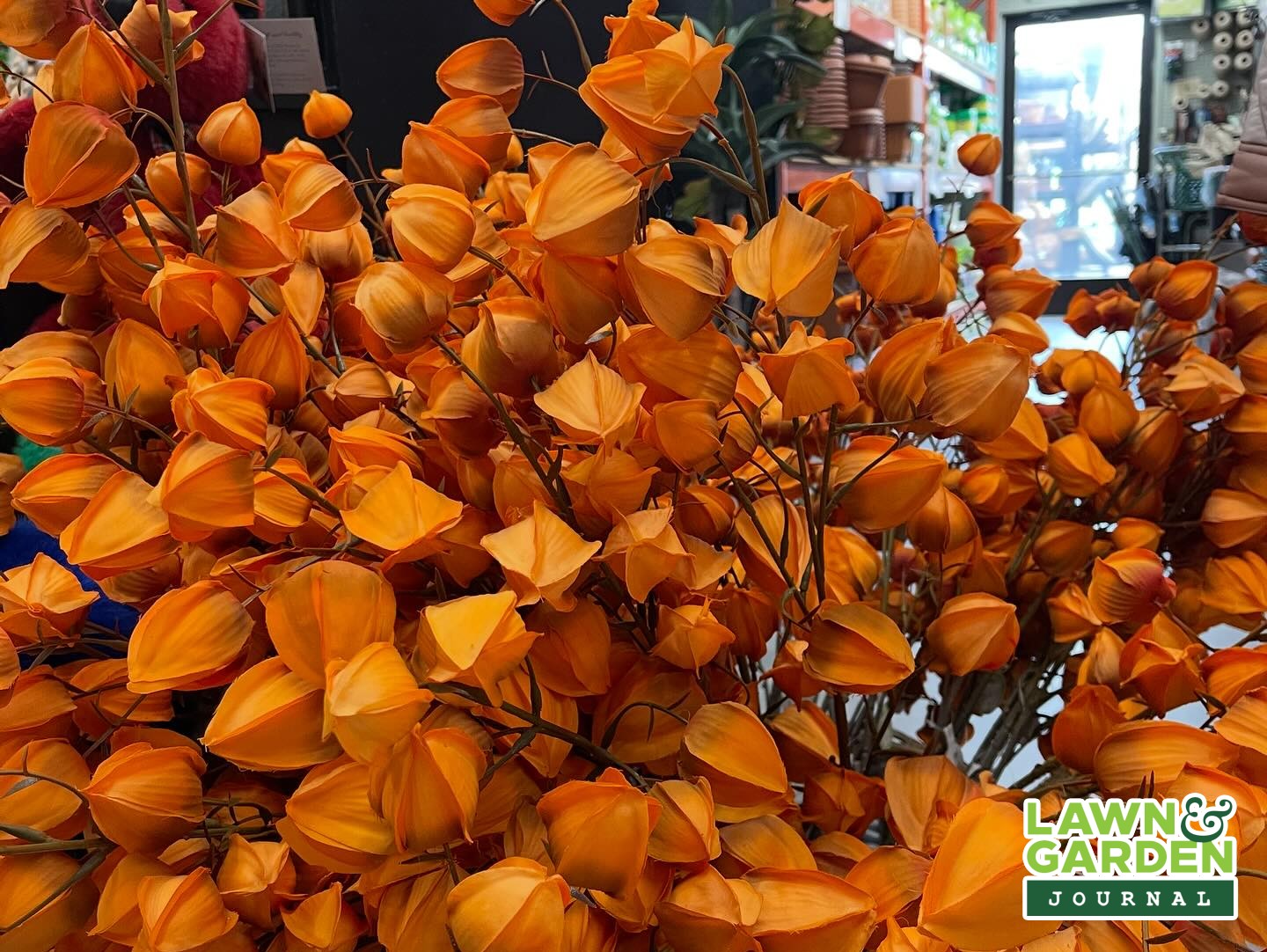 The phone lines were busy on another Fall edition of the Lawn and ...