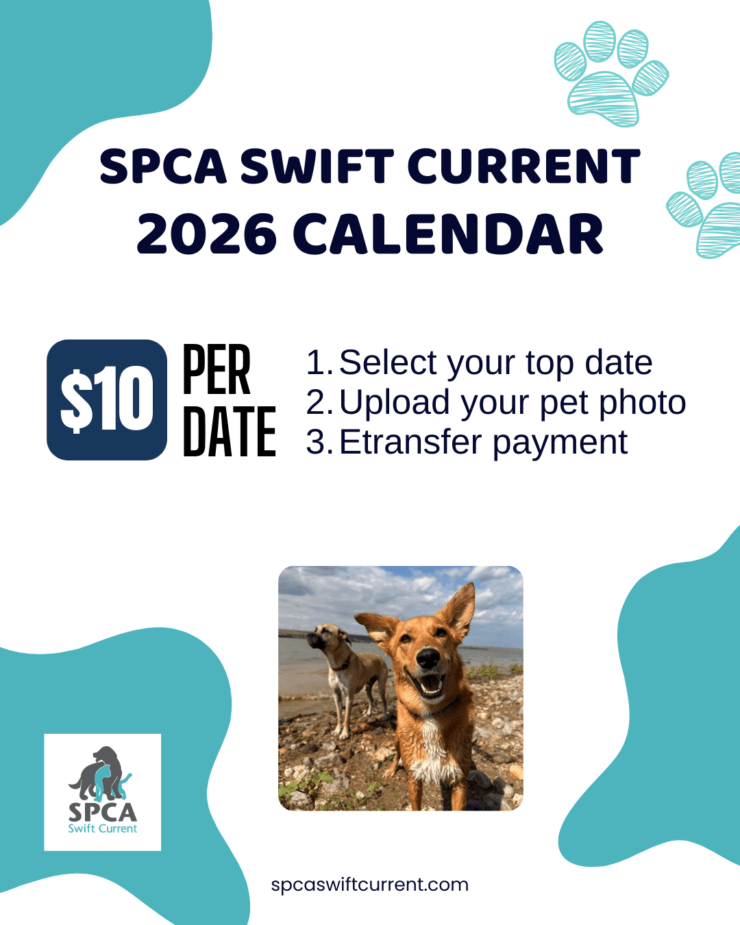 SPCA Swift Current looking for calendar models - SwiftCurrentOnline.com - Local news, Weather ...
