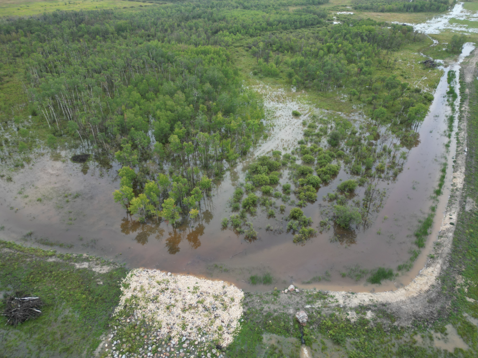 After the storm: understanding water drainage in the Southeast ...