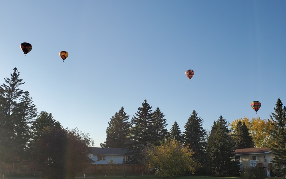 Gallery: We should see more balloon flights this year than last ...