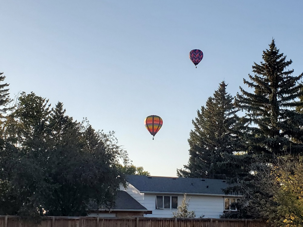 Gallery: We should see more balloon flights this year than last ...