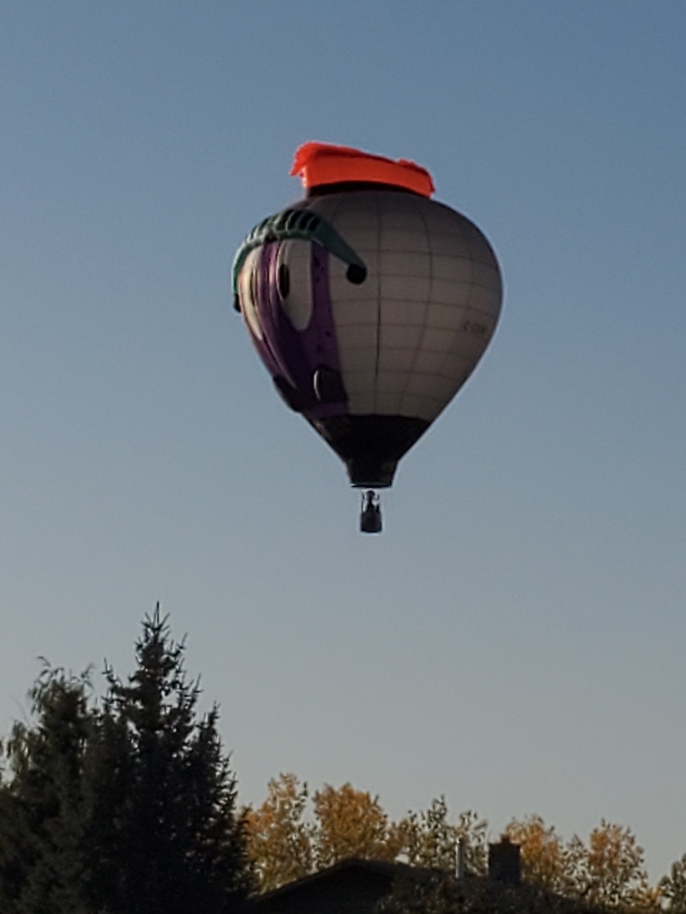 Gallery: We should see more balloon flights this year than last ...