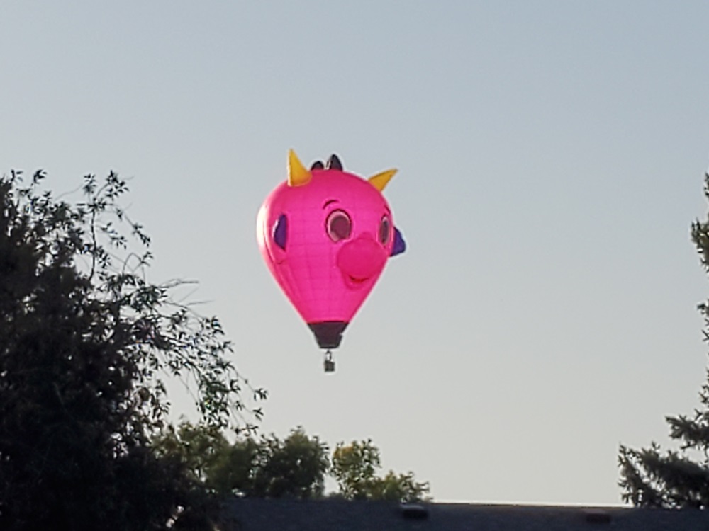 Gallery: We should see more balloon flights this year than last ...