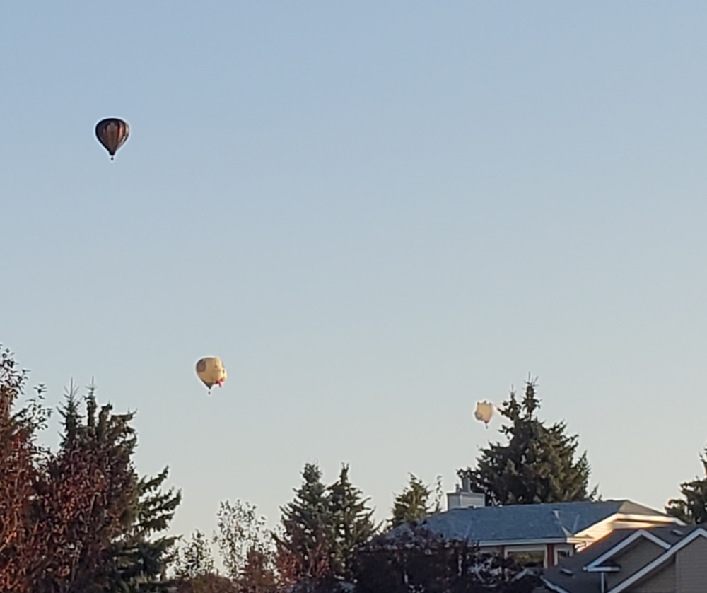 Gallery: We should see more balloon flights this year than last ...