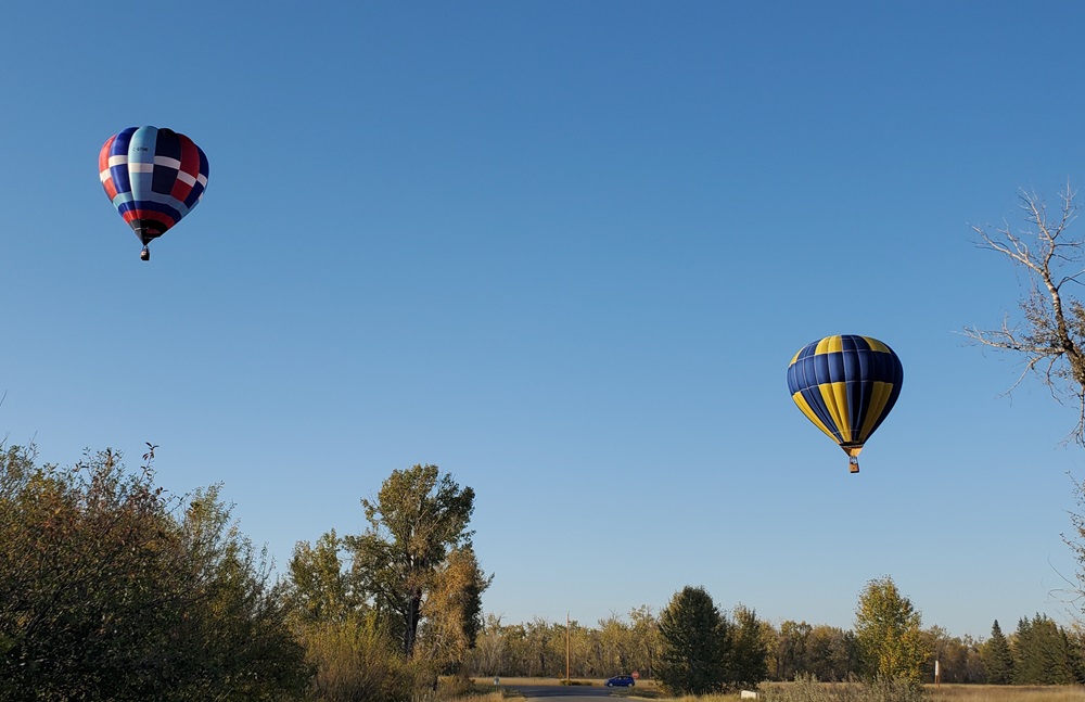 Gallery: We should see more balloon flights this year than last ...