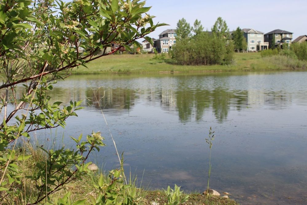 Work underway at Okotoks storm ponds to manage flood risks ...