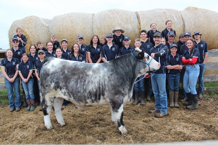 4-H Regional Beef Show and Sale raises over $33,000.00 for local food ...
