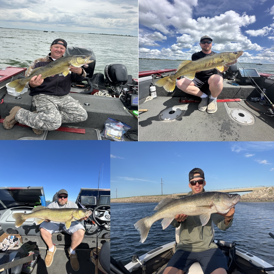 Hook, Line, and Winner: 3rd annual BS Phishing League Fishing ...