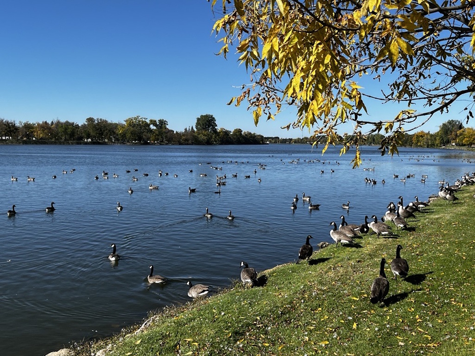 Fall starts off on a warm note in Westman - DiscoverWestman.com - Local ...