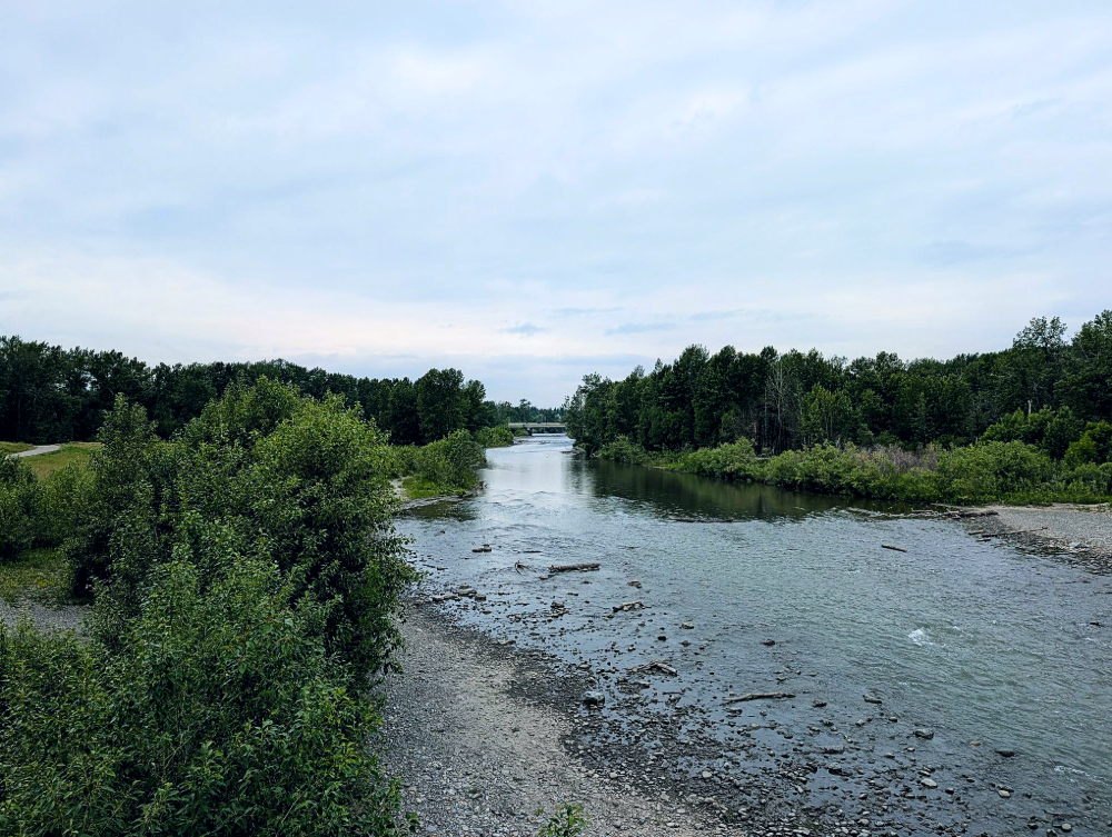Diamond Valley nears completion of major lagoon upgrade ...