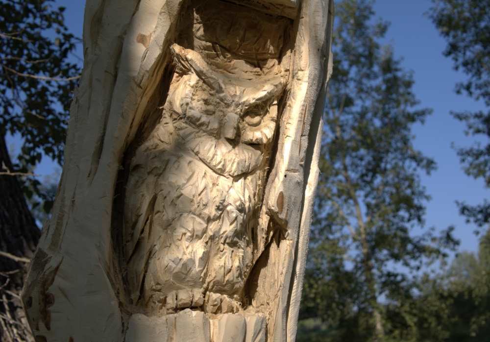 Gallery: New tree carving nears completion in High River's George Lane Park - HighRiverOnline ...