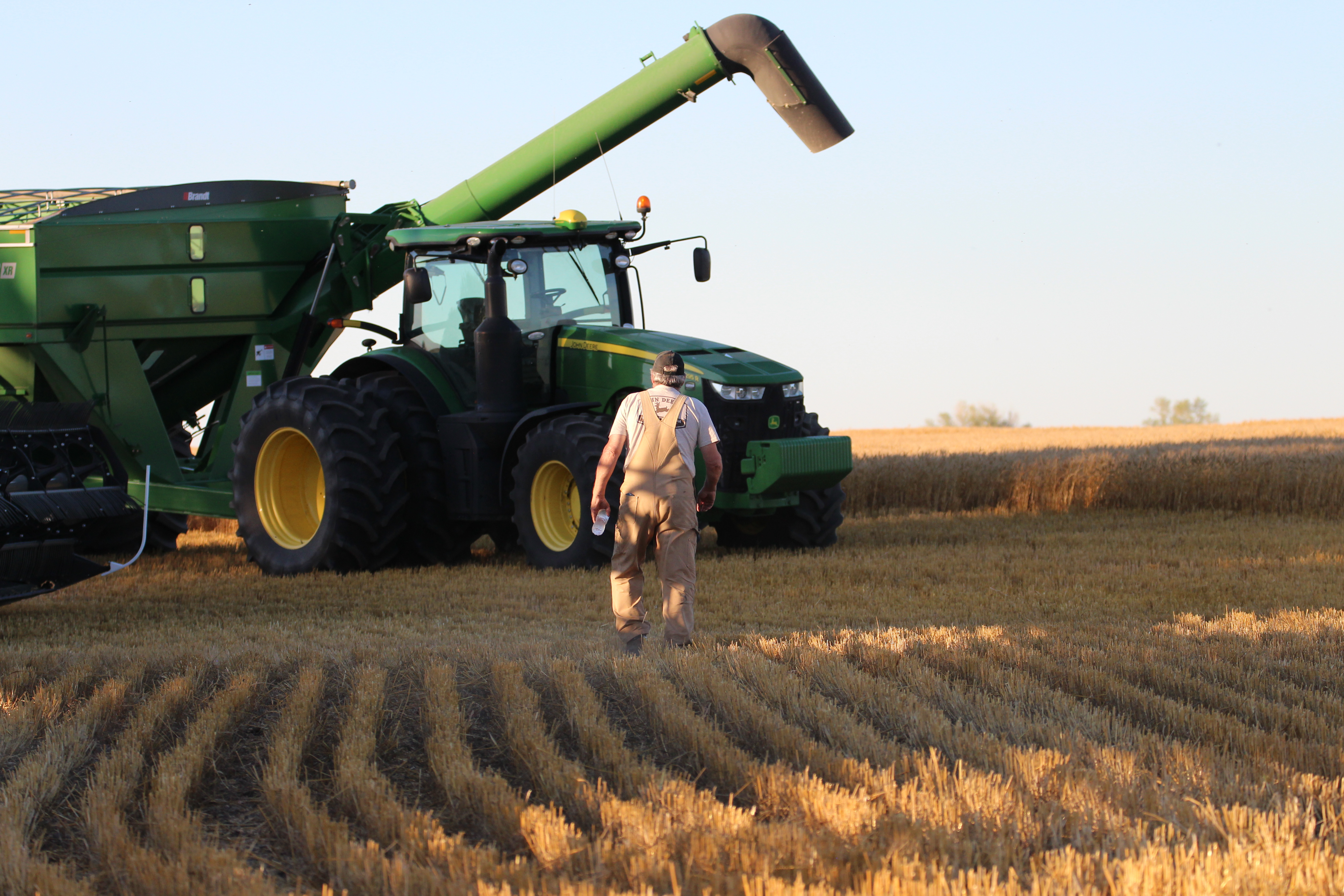 Alberta harvest is rolling along - StrathmoreNow.com - Local news ...