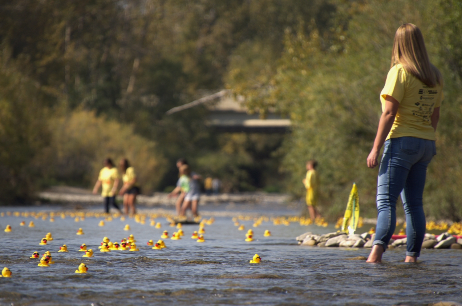 Gallery: Rubber duck race and carnival returns to Okotoks for third ...