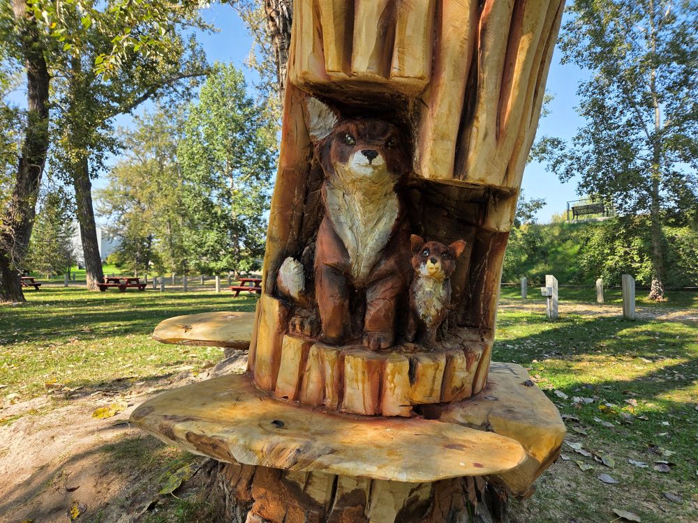 Gallery: High River’s newest tree art carving complete ...