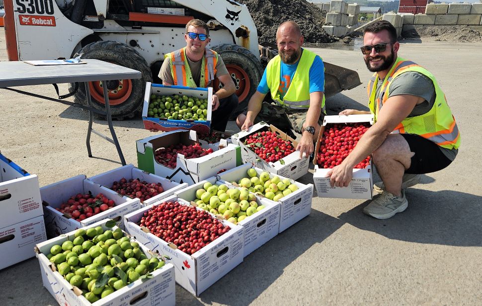 Final community fruit round-up set for Saturday - CochraneNow: Cochrane ...