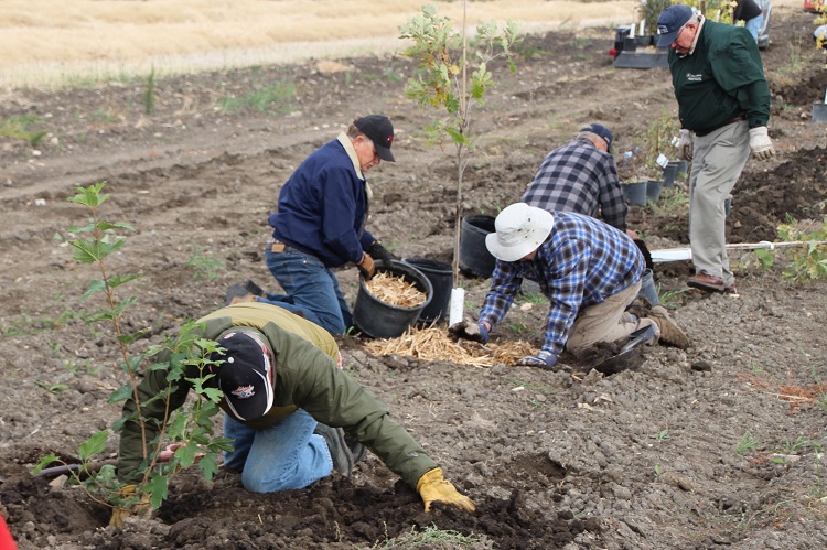 Home Hardware Building Centre joins Tree Canada for a special event in ...