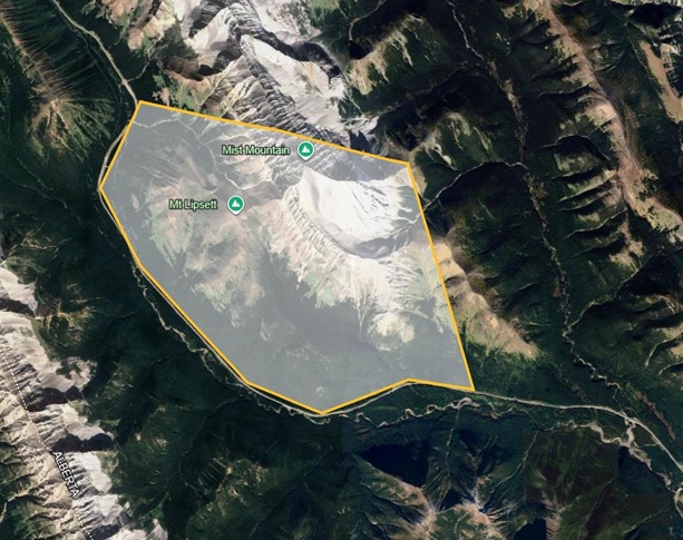 Another bluff charge by bear prompts warning in Kananaskis ...