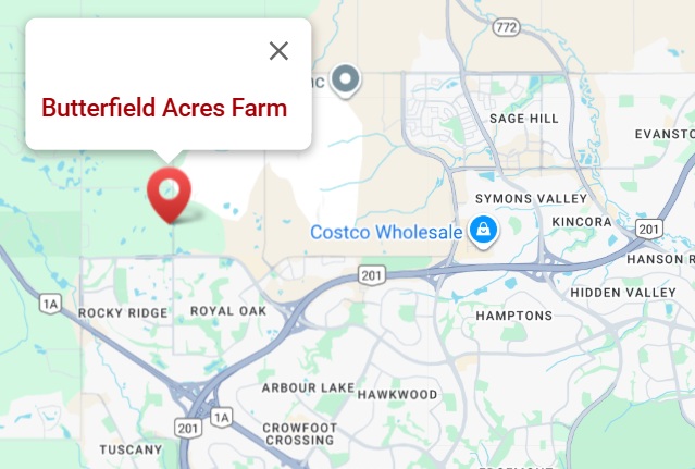 Calgary’s Butterfield Acres closed after avian flu found in birds ...