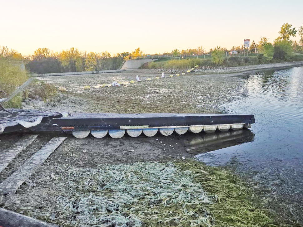 Province lowers St. Malo reservoir to fight Zebra Mussels ...