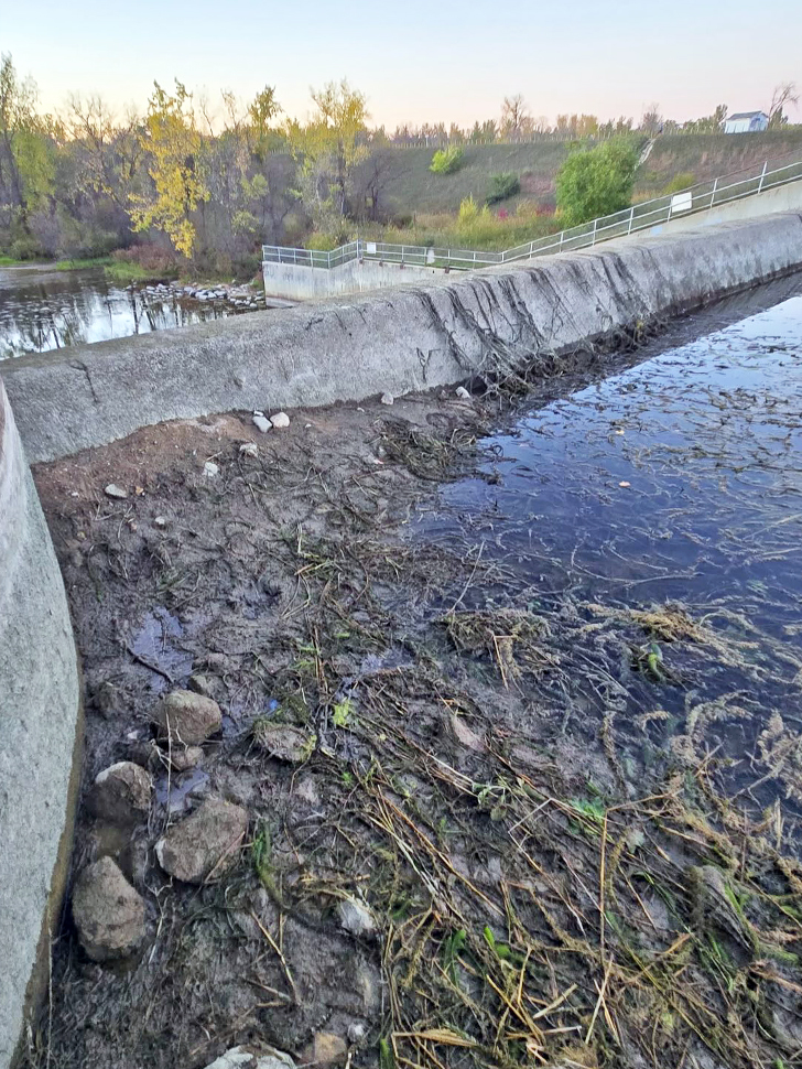 Province lowers St. Malo reservoir to fight Zebra Mussels ...
