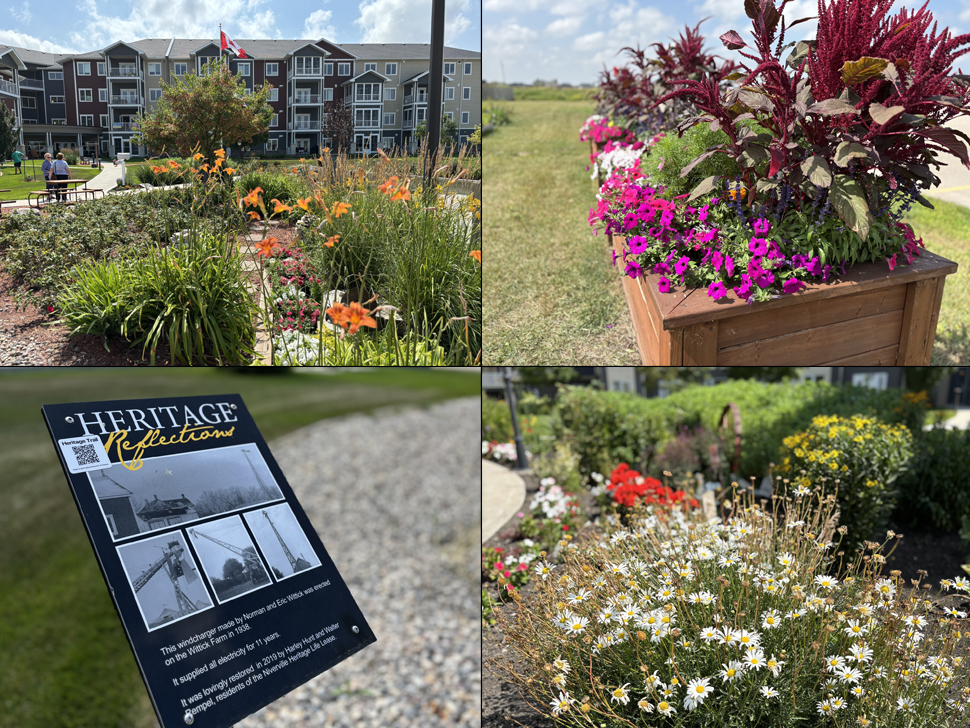 Niverville blooms bright again: Town earns top marks in provincial ...