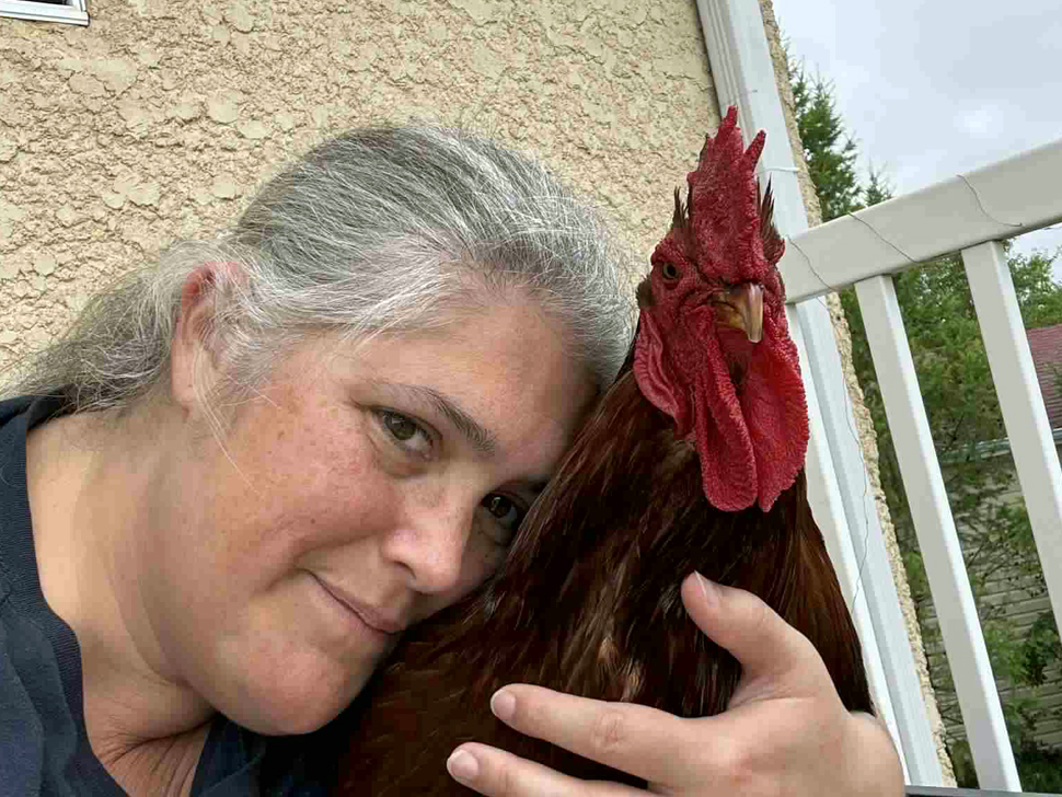 Dogs kill dozens of chickens, injure farmer in Hanover attack - SteinbachOnline.com - Local news ...