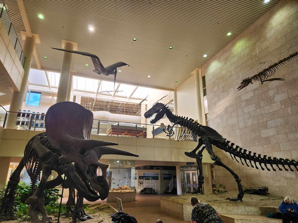 Massive geological discovery near Swift Current pulls U of S attention ...
