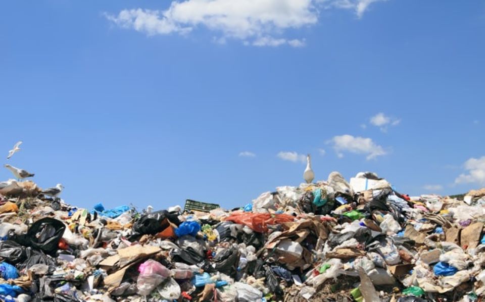 City marks a successful Household Hazardous Waste Day ...