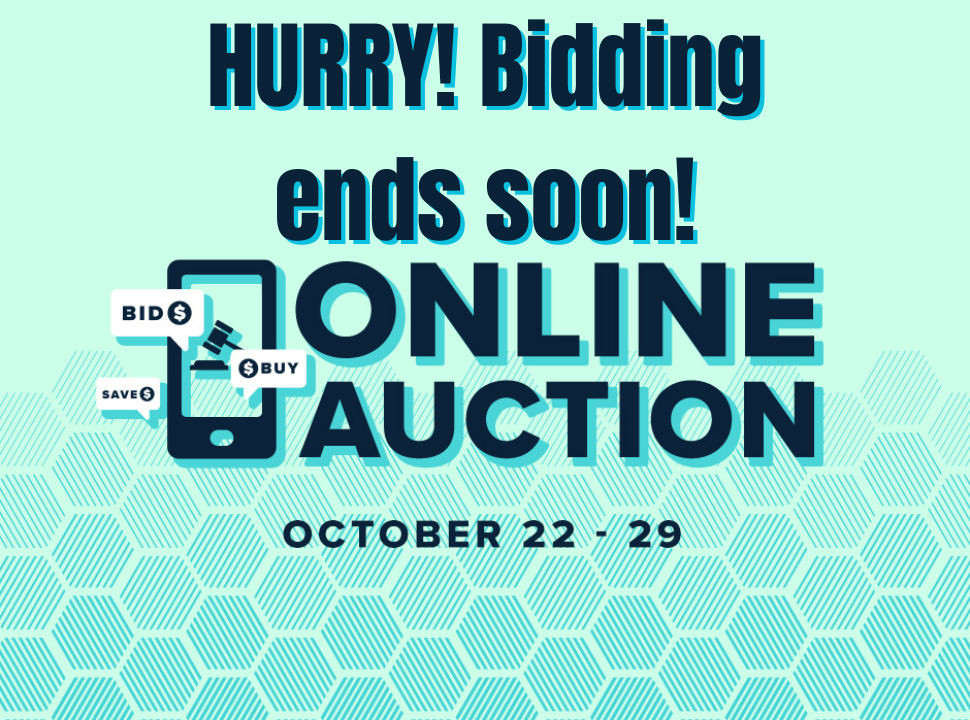 Final hours to bid: Our Online Auction items start closing at noon ...