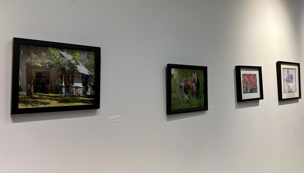 WCU launches 2026 calendar featuring scenes by local photography club ...