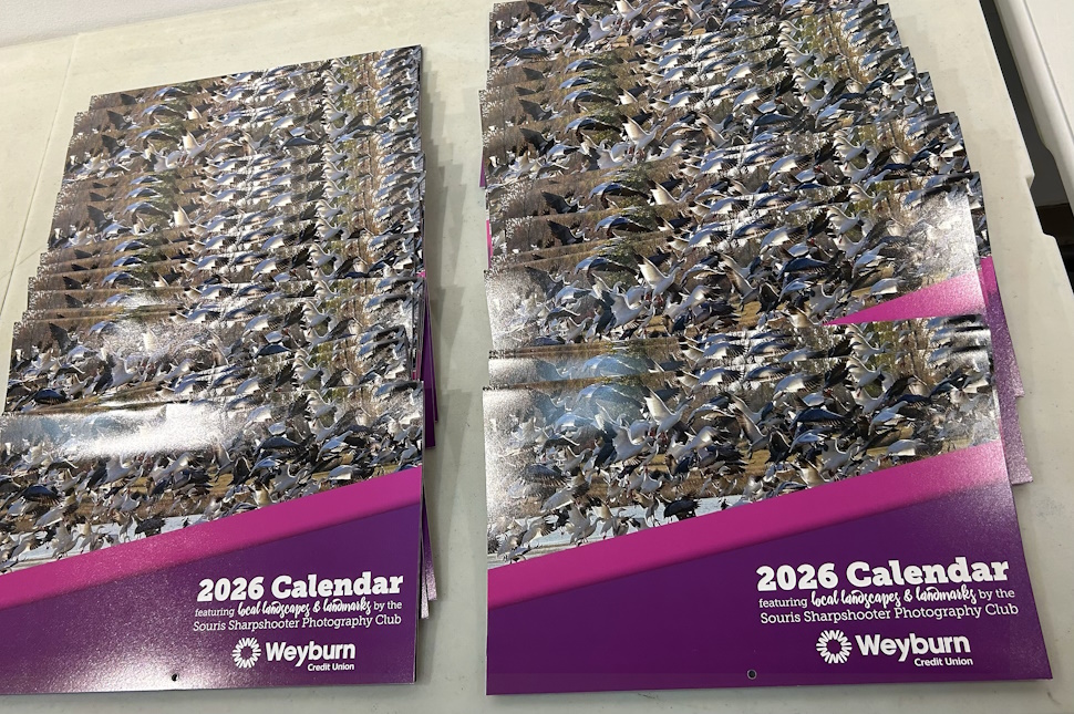 WCU launches 2026 calendar featuring scenes by local photography club ...