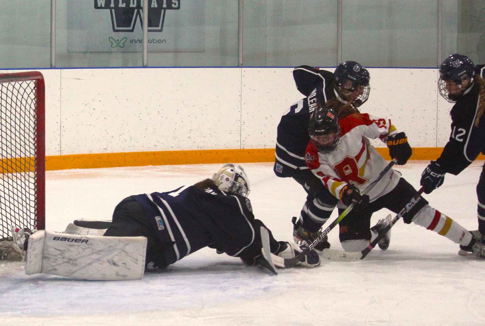 Wildcats split with Regina to start regular season - SwiftCurrentOnline ...