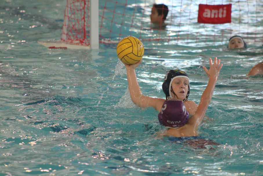 Sharks swim circles around the competition in Estevan water polo ...