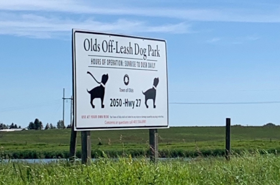 Olds off-leash dog park closed today for repairs - CentralAlbertaOnline ...
