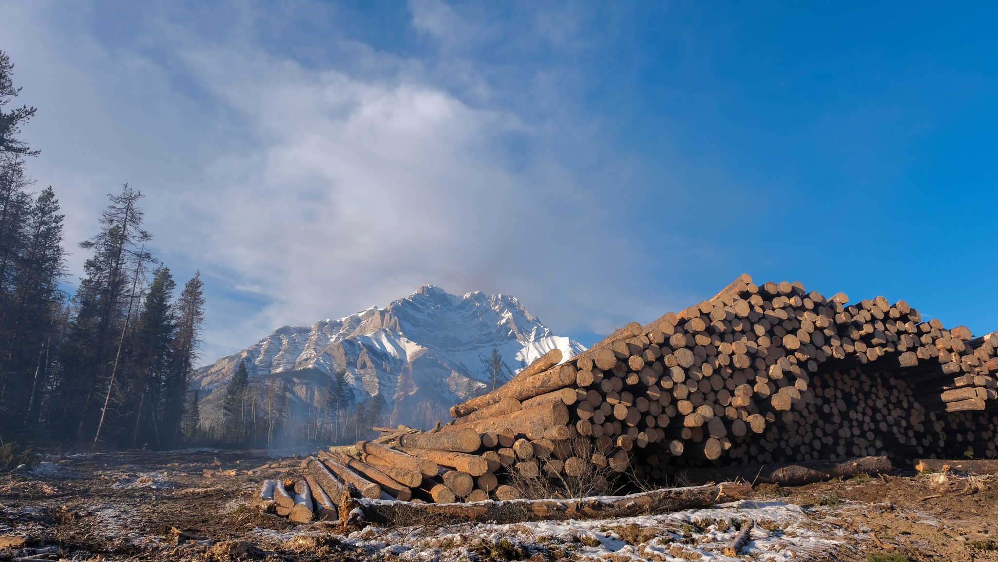 Work resumes on Tunnel Toe wildfire risk reduction project near Banff ...