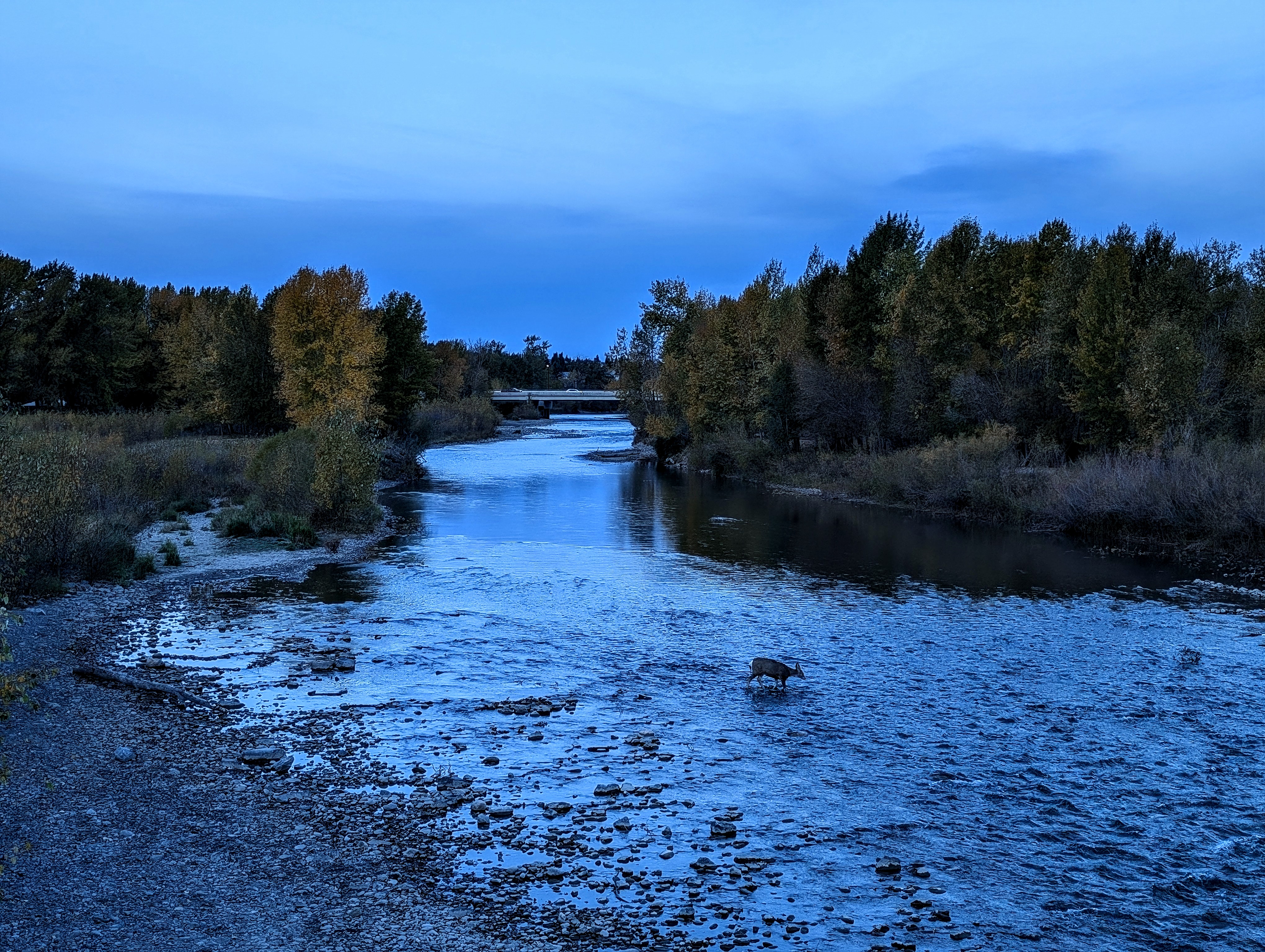 Alberta moves to streamline water licensing and expand alternative ...