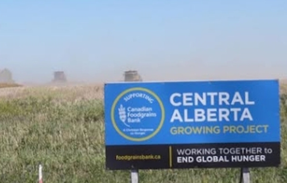 Charity harvest northwest of Rimbey raises more than $56,000 for ...