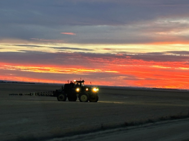 Saskatchewan crop production reached record levels in 2025 ...