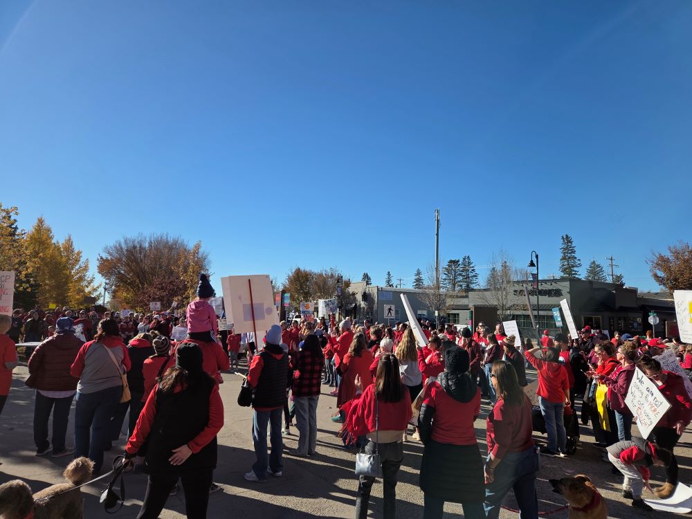 Teachers rally in High River calling for classroom improvements and ...