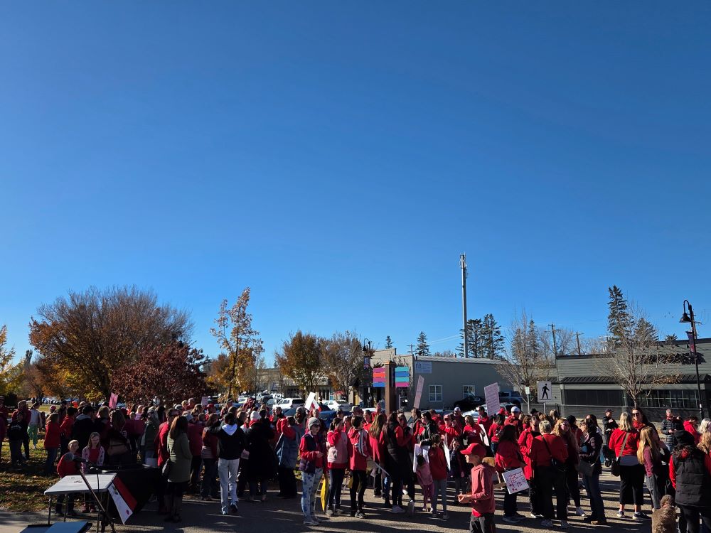Teachers rally in High River calling for classroom improvements and ...
